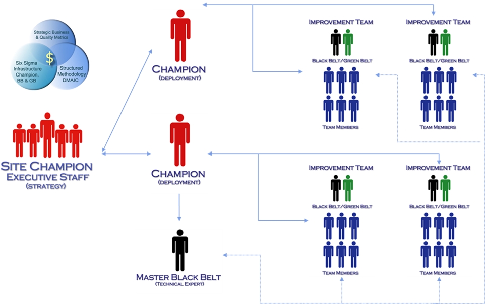 SS Diagram - The Training Institute of